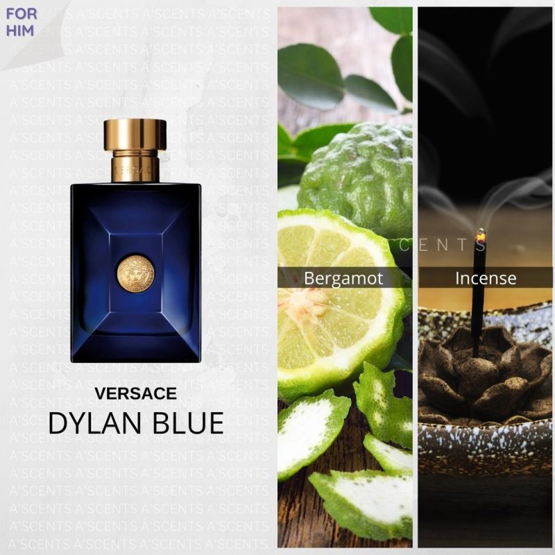 Versace Dylan Blue Eau de Toilette for Men – Ascent