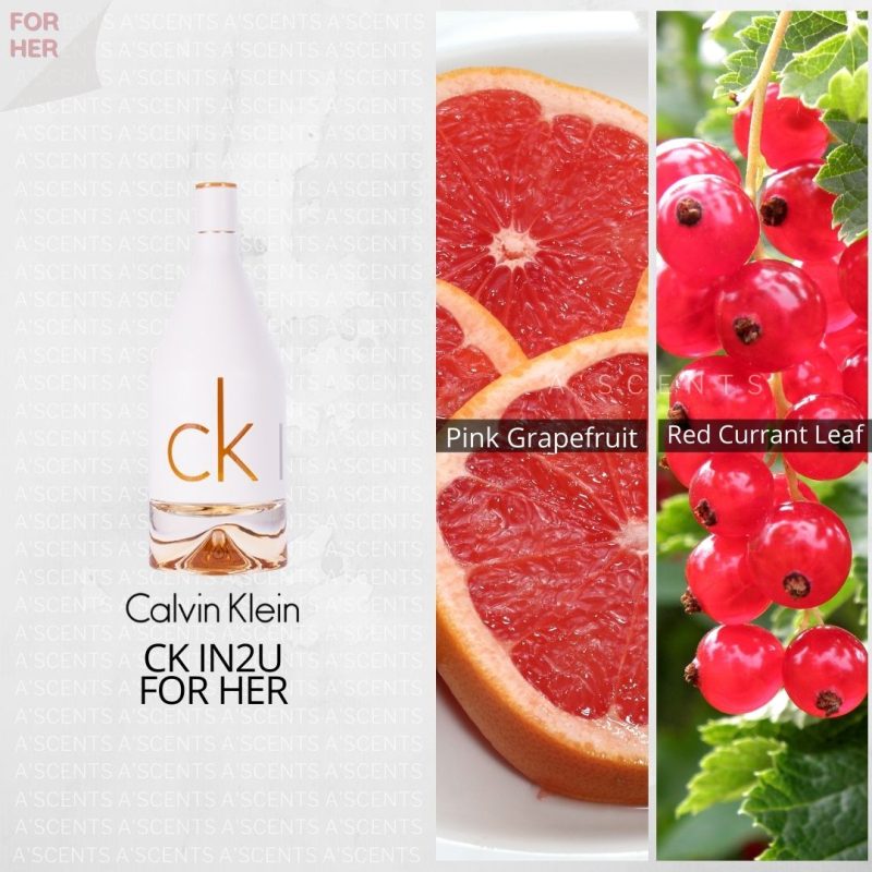Calvin Klein CK IN2U for Her Eau de Toilette for Women – Ascent