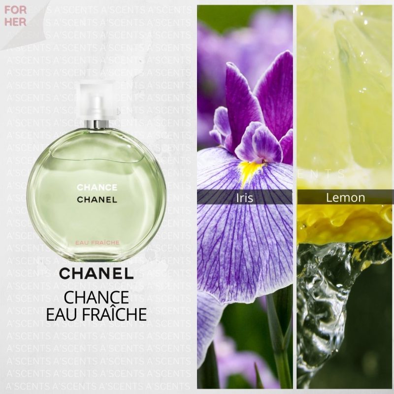 Chanel Chance Eau Fraiche Eau de Toilette for Women – Ascent