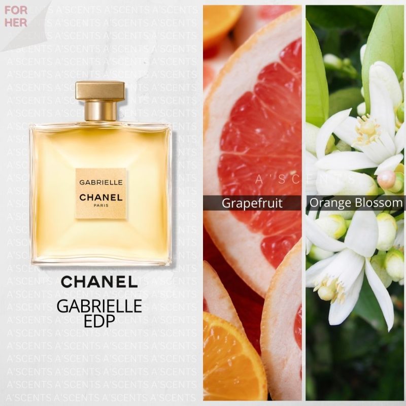 Chanel Gabrielle Eau de Parfum for Women – Ascent