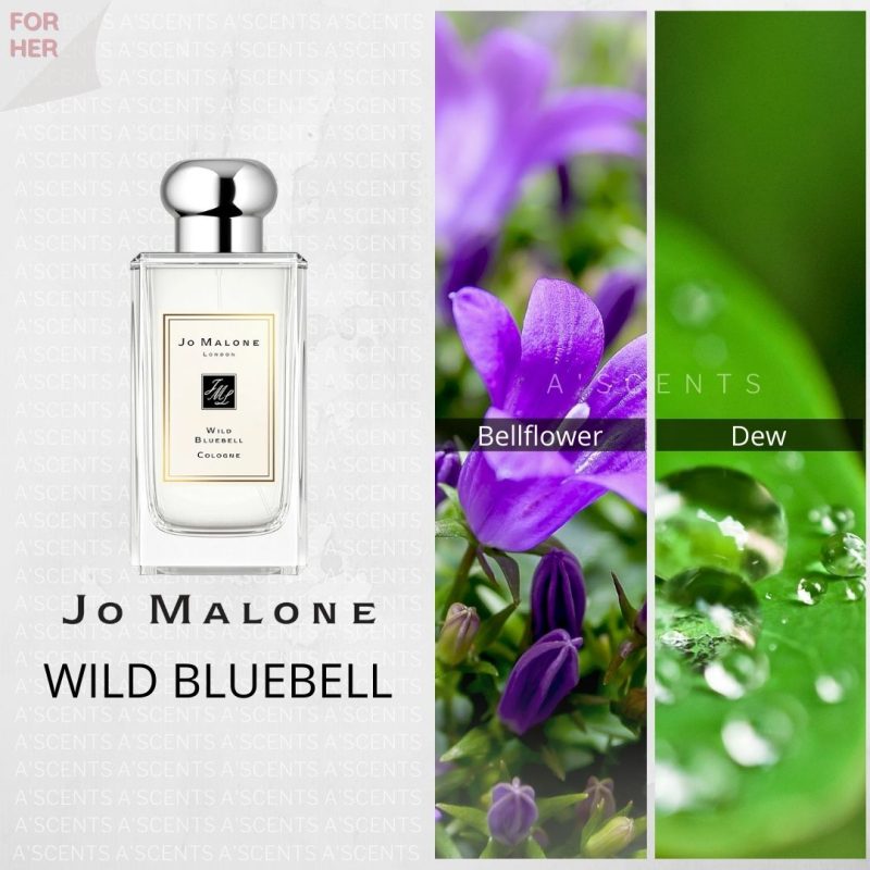 Jo Malone Wild Bluebell Cologne for Women – Ascent