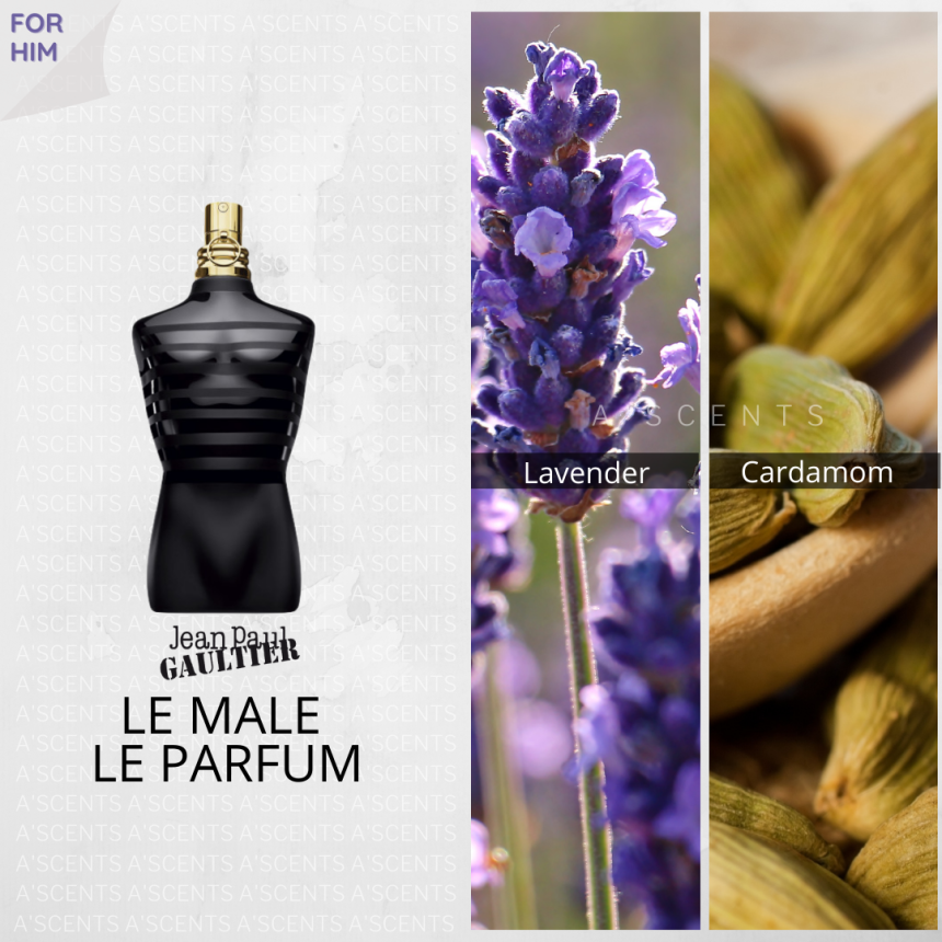 Jean Paul Gaultier Le Male Le Parfum Eau de Parfum for Men – Ascent