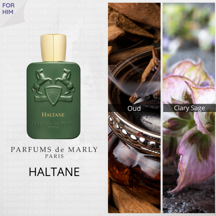 Parfums de Marly Haltane Eau de Parfum for Men – Ascent